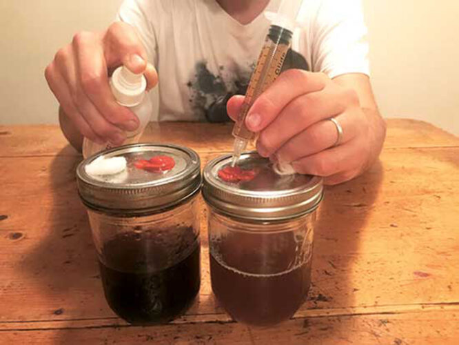 Liquid Culture Recipe – Mother Earth News
